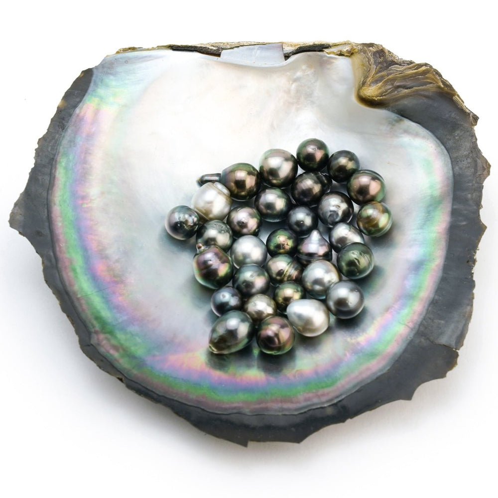 Pearls à La Carte – Kamoka Pearl